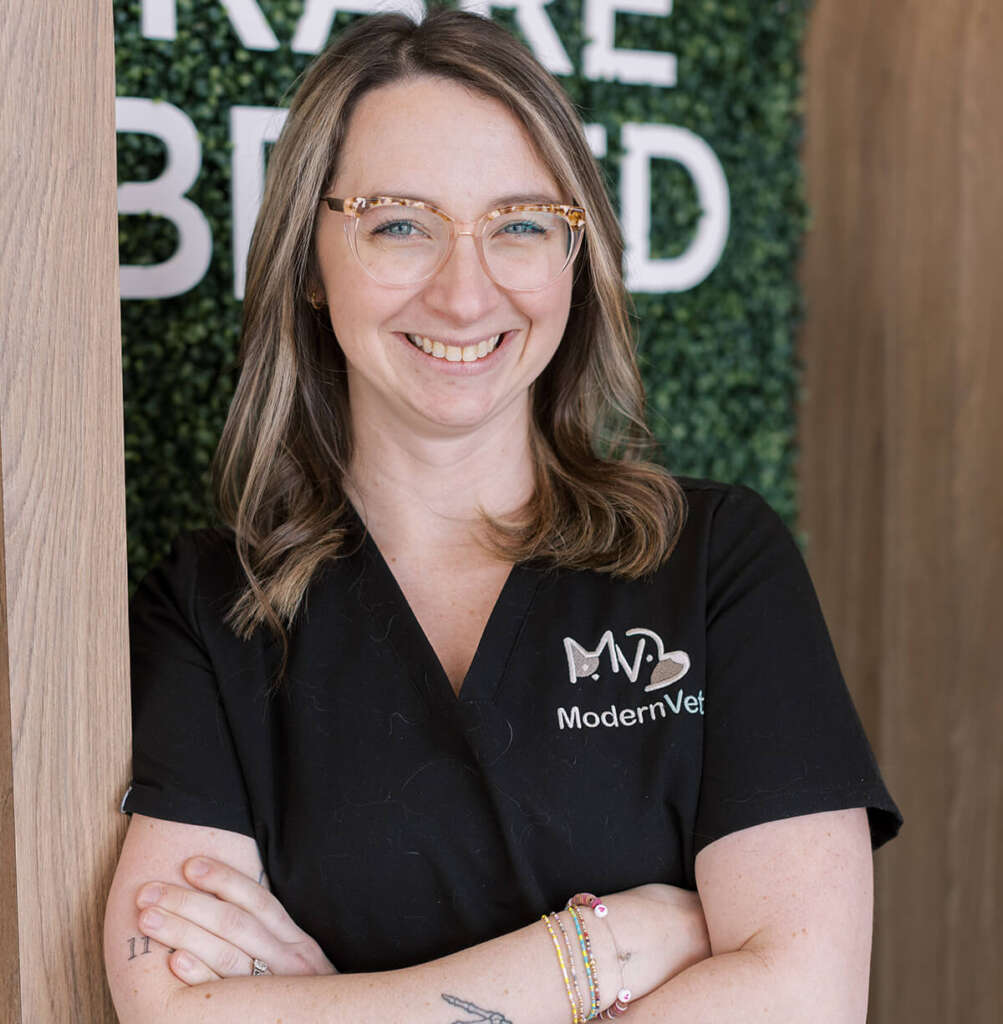 Animal Hospital in Johns Creek | Johns Creek Vet | ModernVet