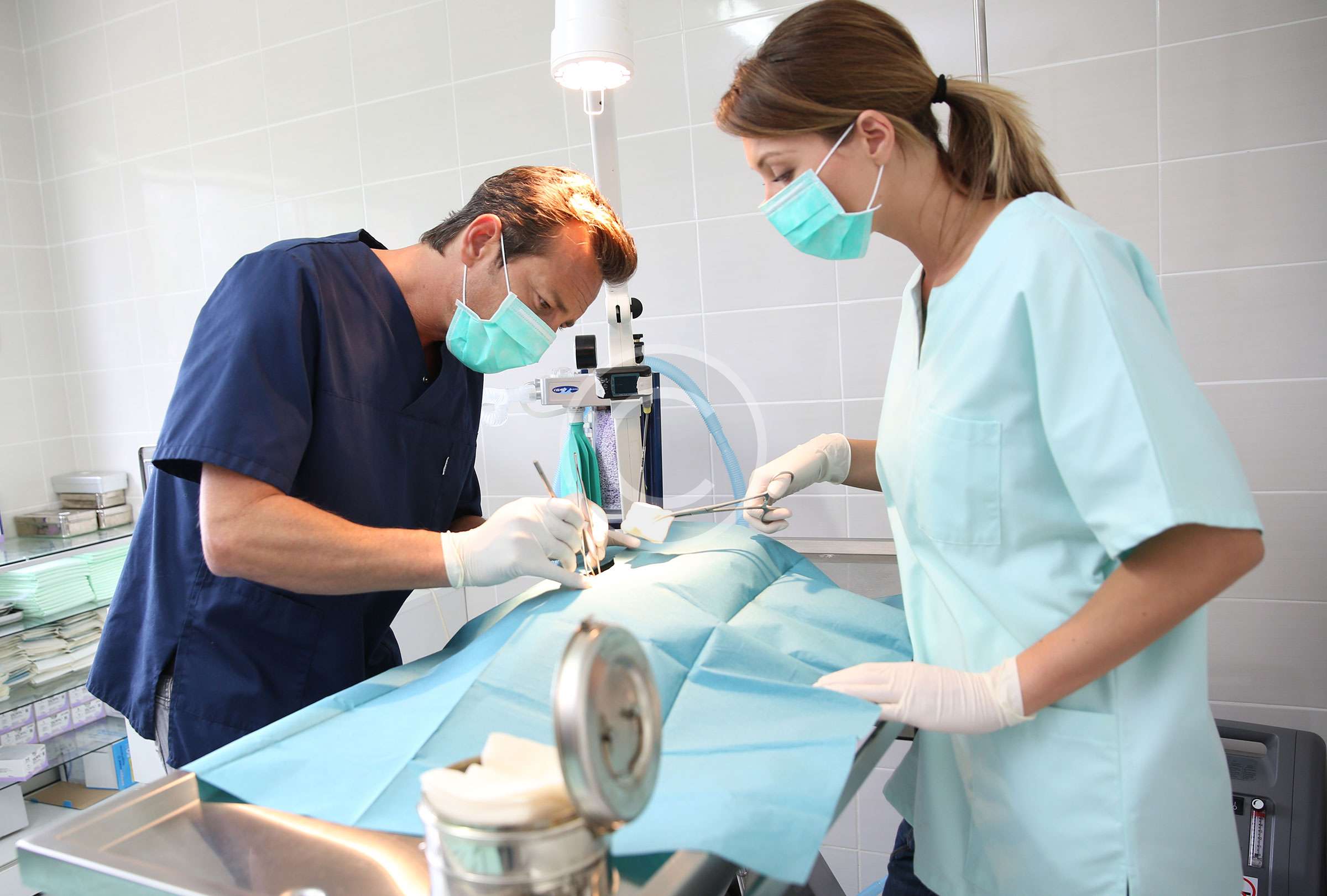 Surgery Suite - ModernVet