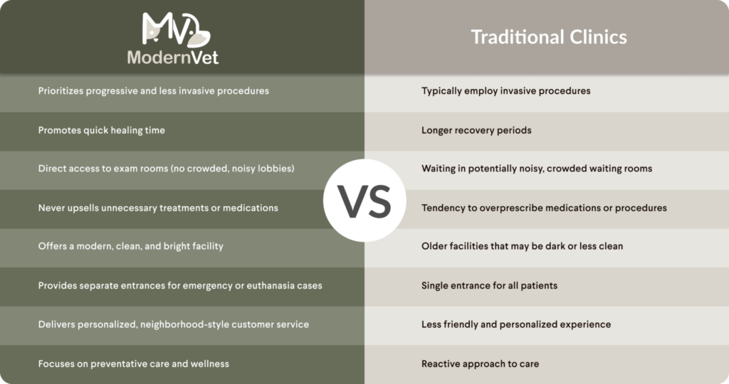 Animal Hospital in Johns Creek | Johns Creek Vet | ModernVet