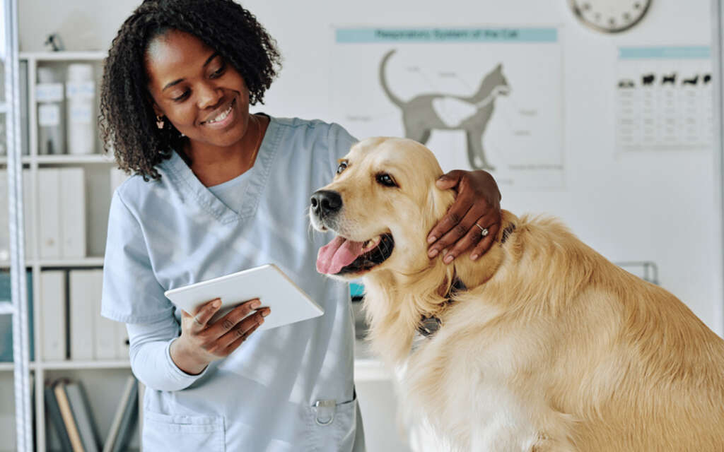 When Do Dogs Stop Growing? The 4 Stages for Every Breed